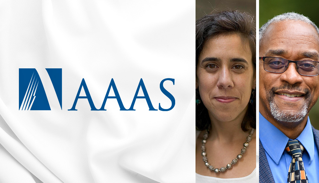 Wailoo, Yashar Elected to American Academy of Arts and Sciences | Princeton School of Public and ...